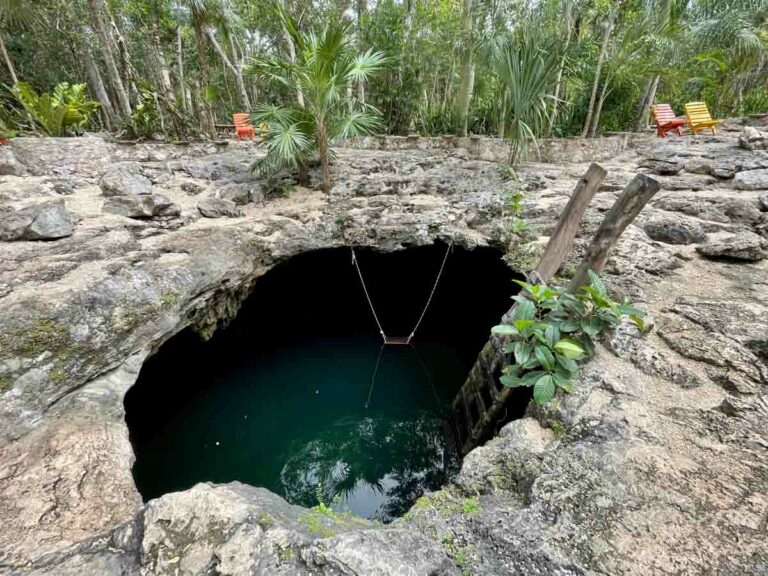 The Best Cenotes in Tulum You Need to Visit – Insider's Tulum