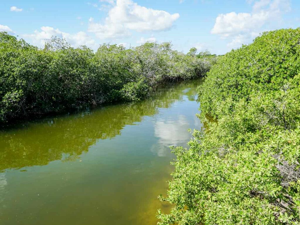 A Guide to Exploring Sian Ka'an Biosphere Reserve