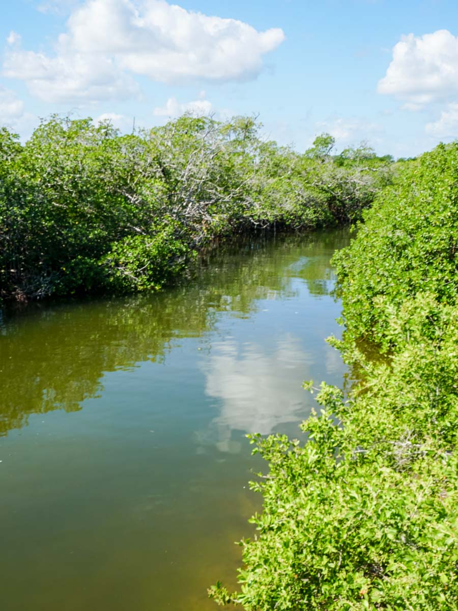 A Guide to Exploring Sian Ka'an Biosphere Reserve
