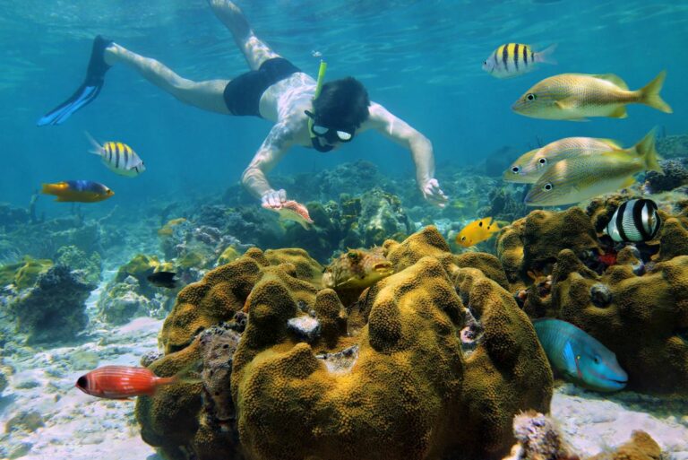 15 Best Places to Snorkel in Tulum – Insider's Tulum